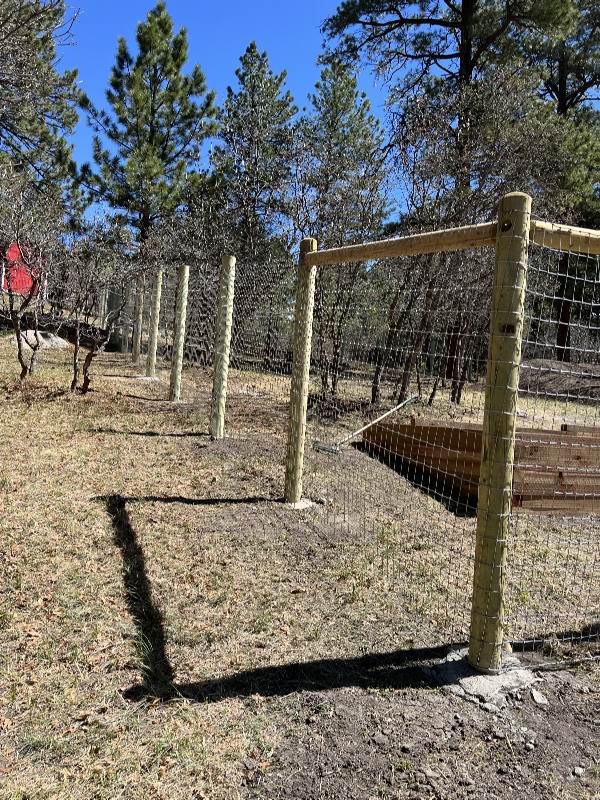 Chicken Fencing